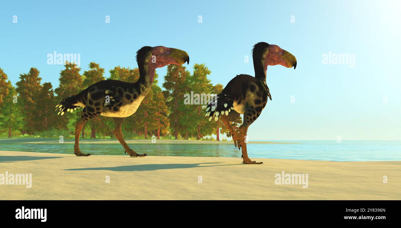 Two Kelenken Terror Birds come upon a lake during the Miocene Period of ...