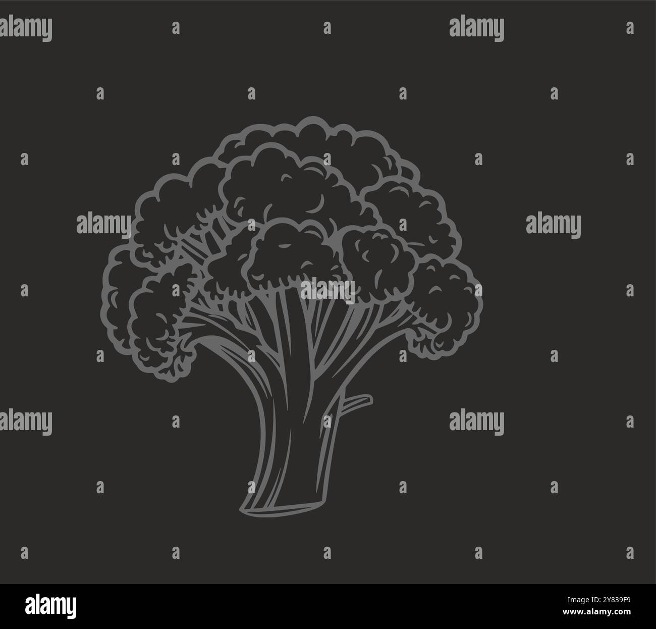 Broccoli hand-drawn vector Illustration Broccoli hand-drawn vector ...