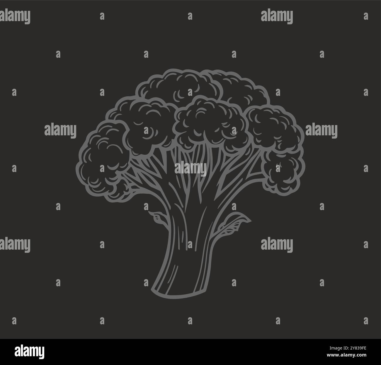 Broccoli hand-drawn vector Illustration Broccoli hand-drawn vector ...