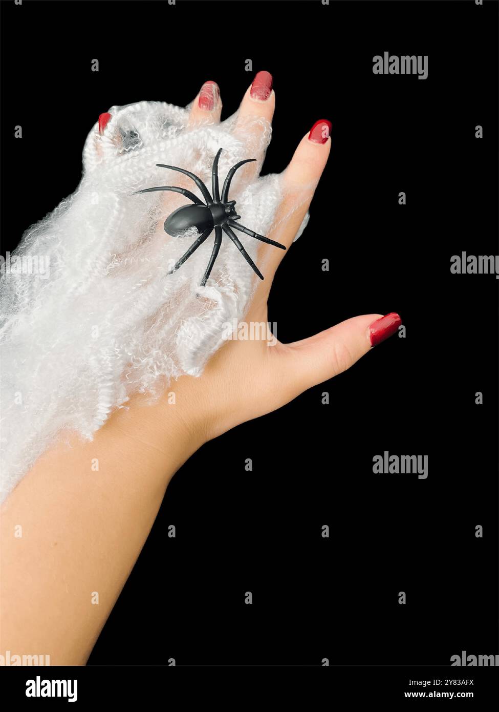 Spider is sitting on persons hand with blurry Stock Photo - Alamy