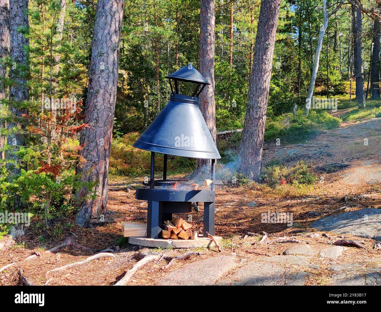 A place for grill in Finland, grillipaikka, axe and sawn firewood in ...