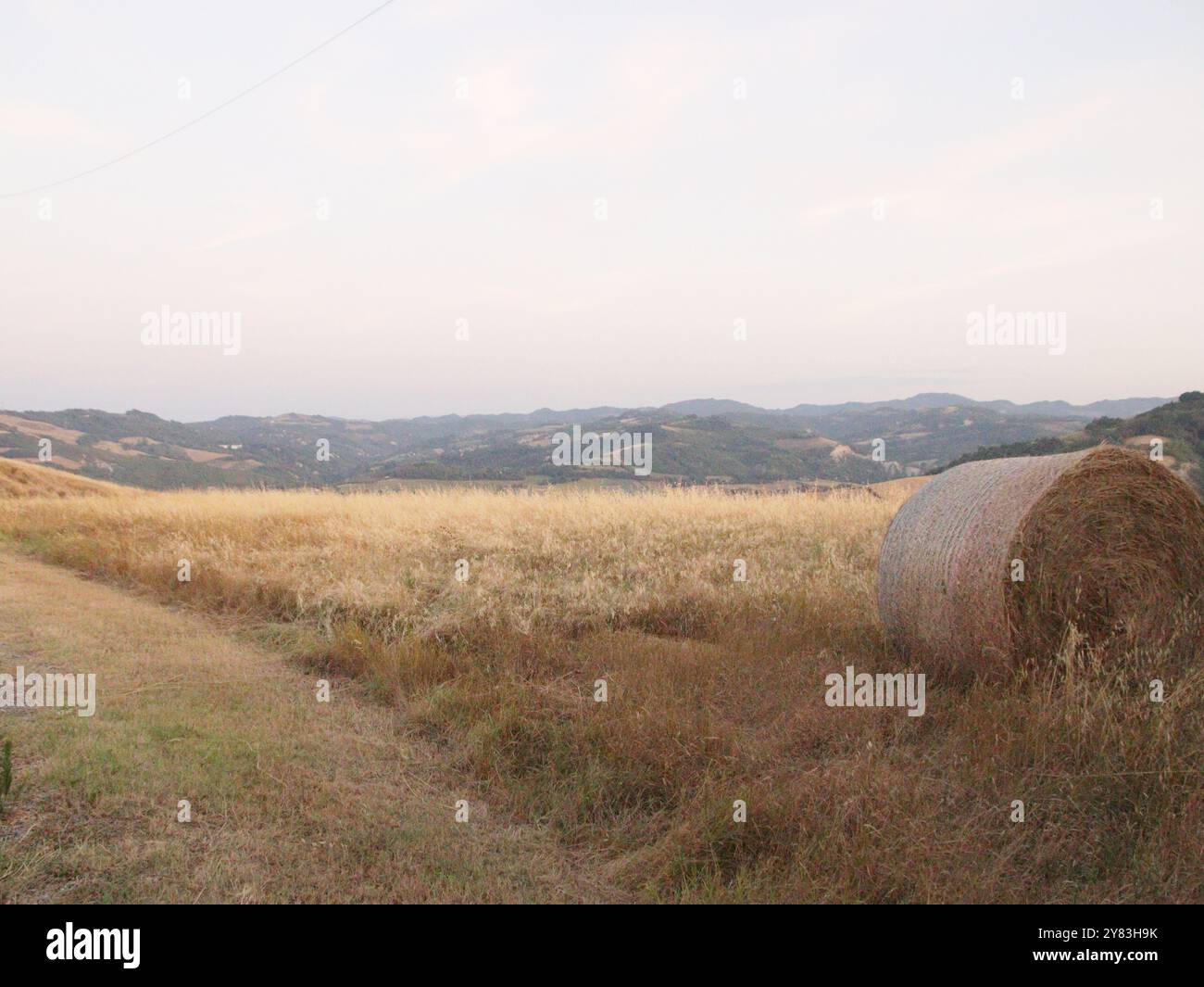 No people shot hay bale hi-res stock photography and images - Alamy