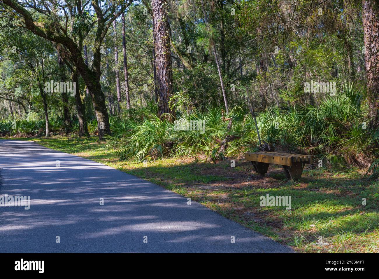 The beautiful autumn foliage and water features of the Beautiful ...