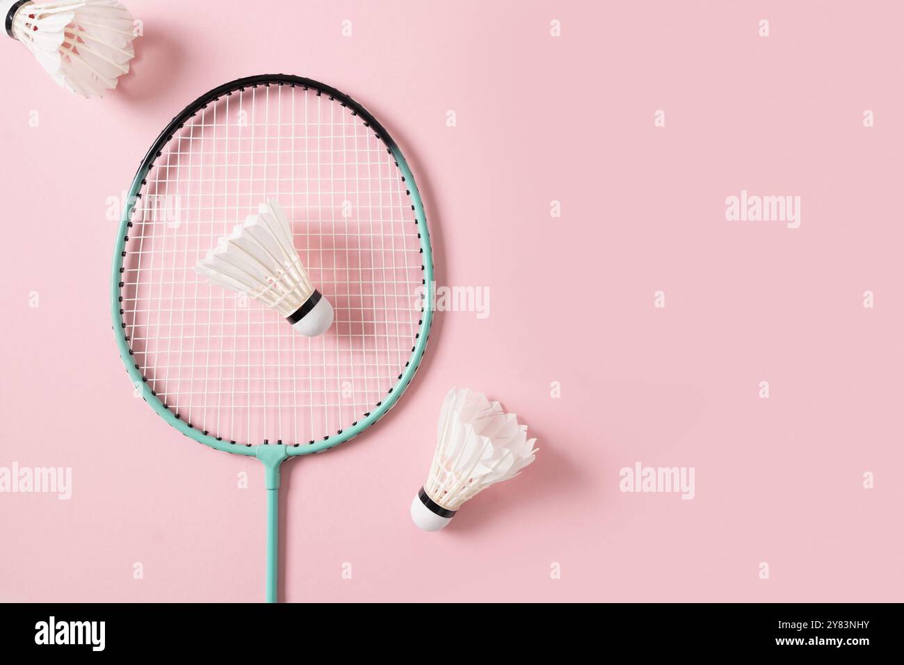 White feather badminton shuttlecocks and badminton racket on light pink ...