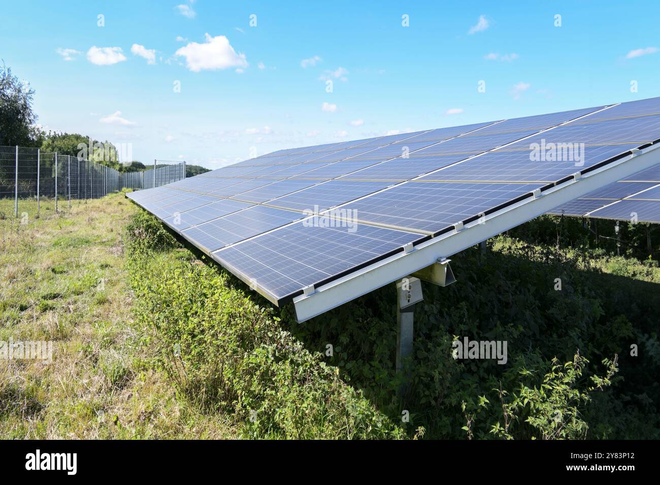 Solar panels on a field for the production of renewable energy ...