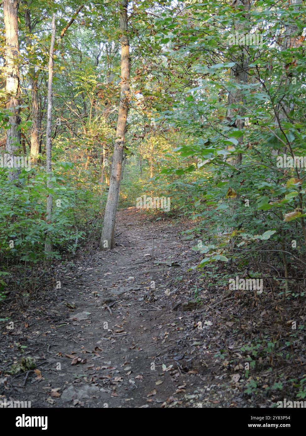 Rough Terrain and Hills on the Dirt Walking Trails of Hillsdale Lake ...