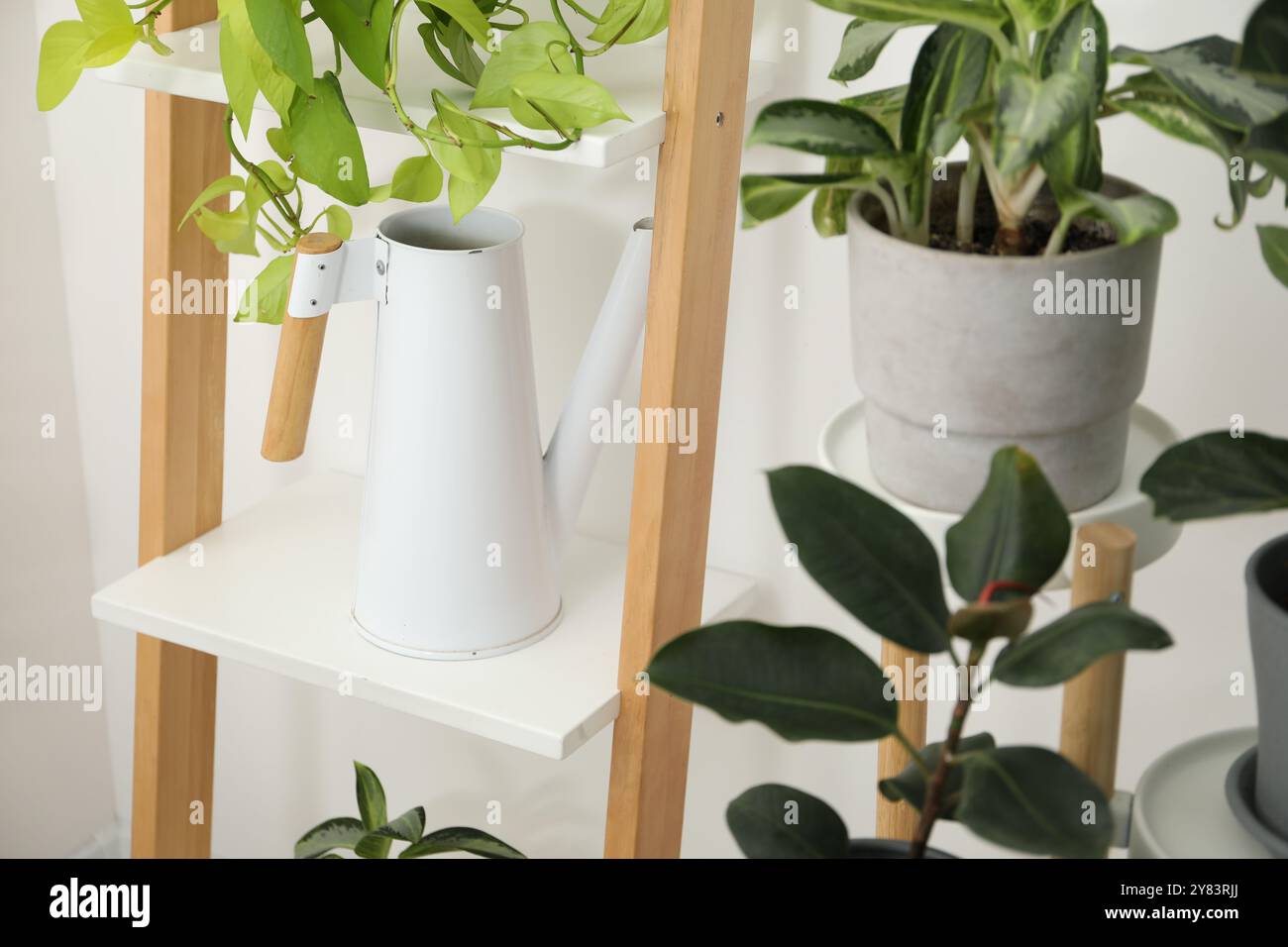 Watering can on stand and beautiful houseplants indoors Stock Photo - Alamy
