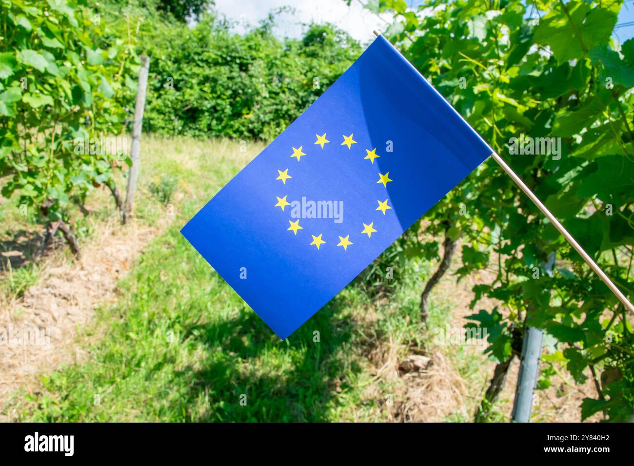 Flag of European Union on the nature background Stock Photo - Alamy