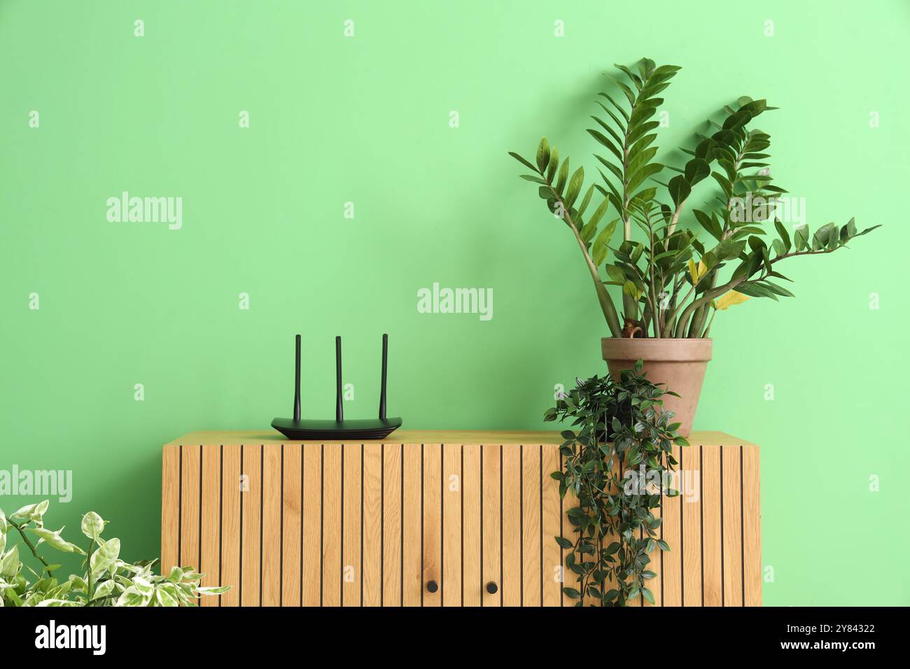 Modern wi-fi router with plants on commode near green wall Stock Photo ...