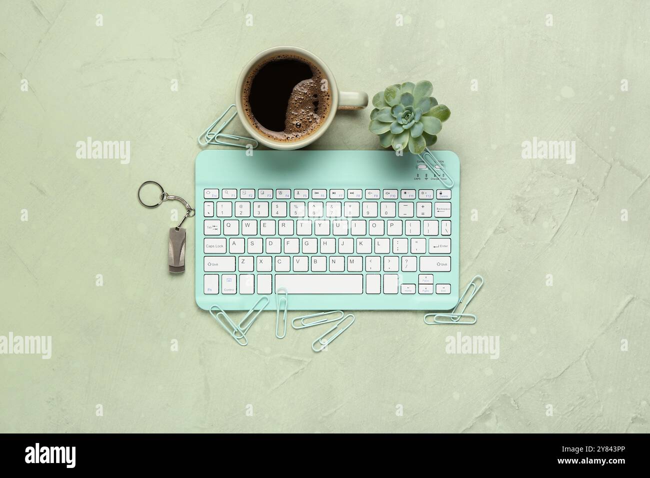 Cyan computer keyboard, cup of coffee and houseplant on green ...