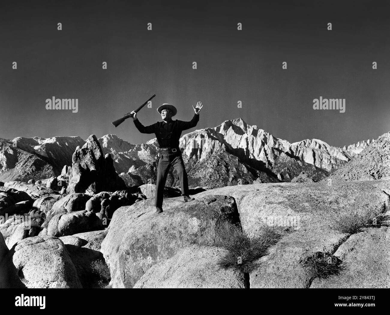 Wayne morris hi-res stock photography and images - Alamy