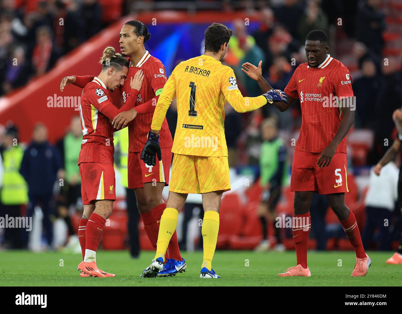 Alisson van dijk hi-res stock photography and images - Alamy
