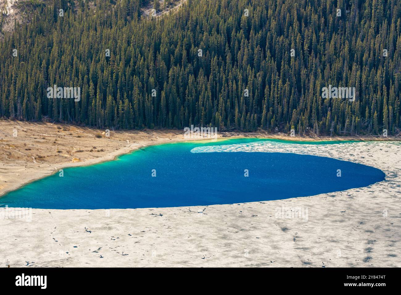 Incredible spring time scenes at Peyto Lake in the Canadian Rockies ...