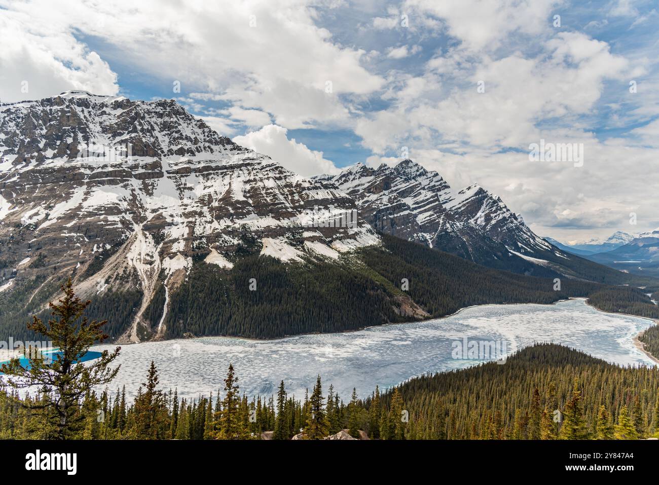 Incredible spring time scenes at Peyto Lake in the Canadian Rockies ...