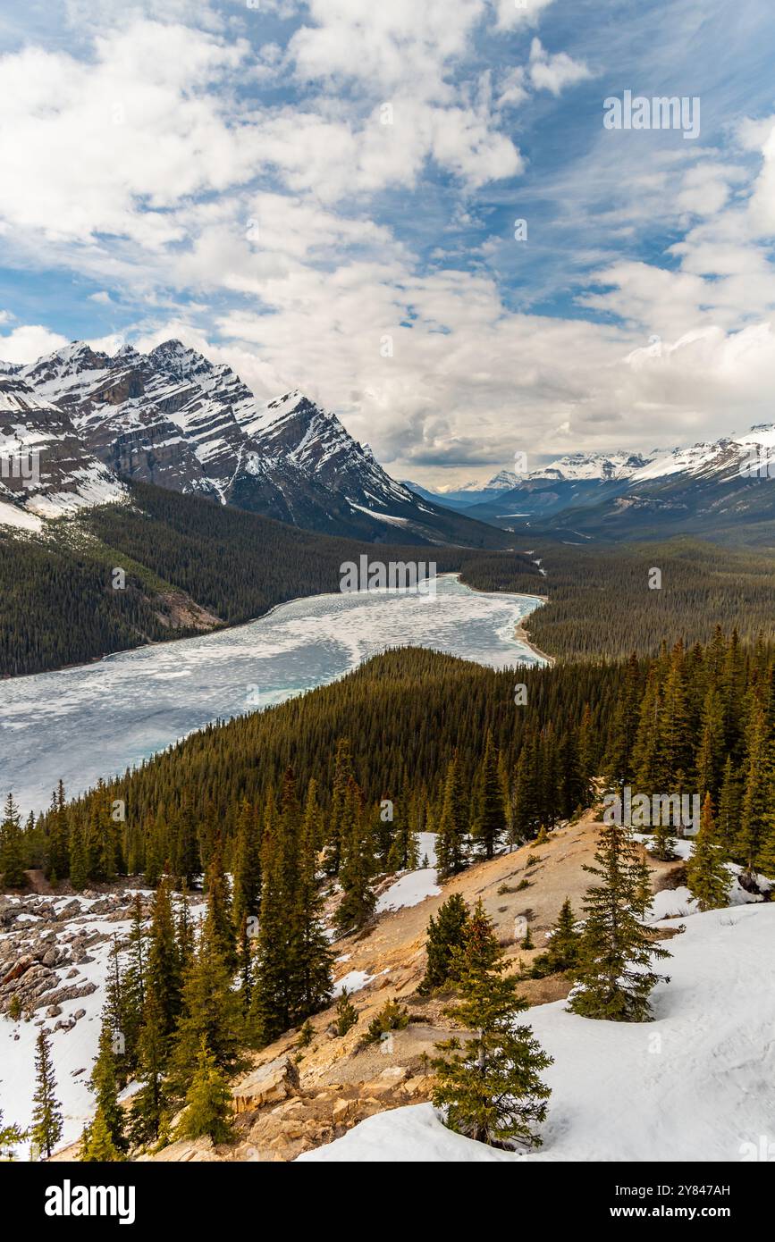 Incredible spring time scenes at Peyto Lake in the Canadian Rockies ...