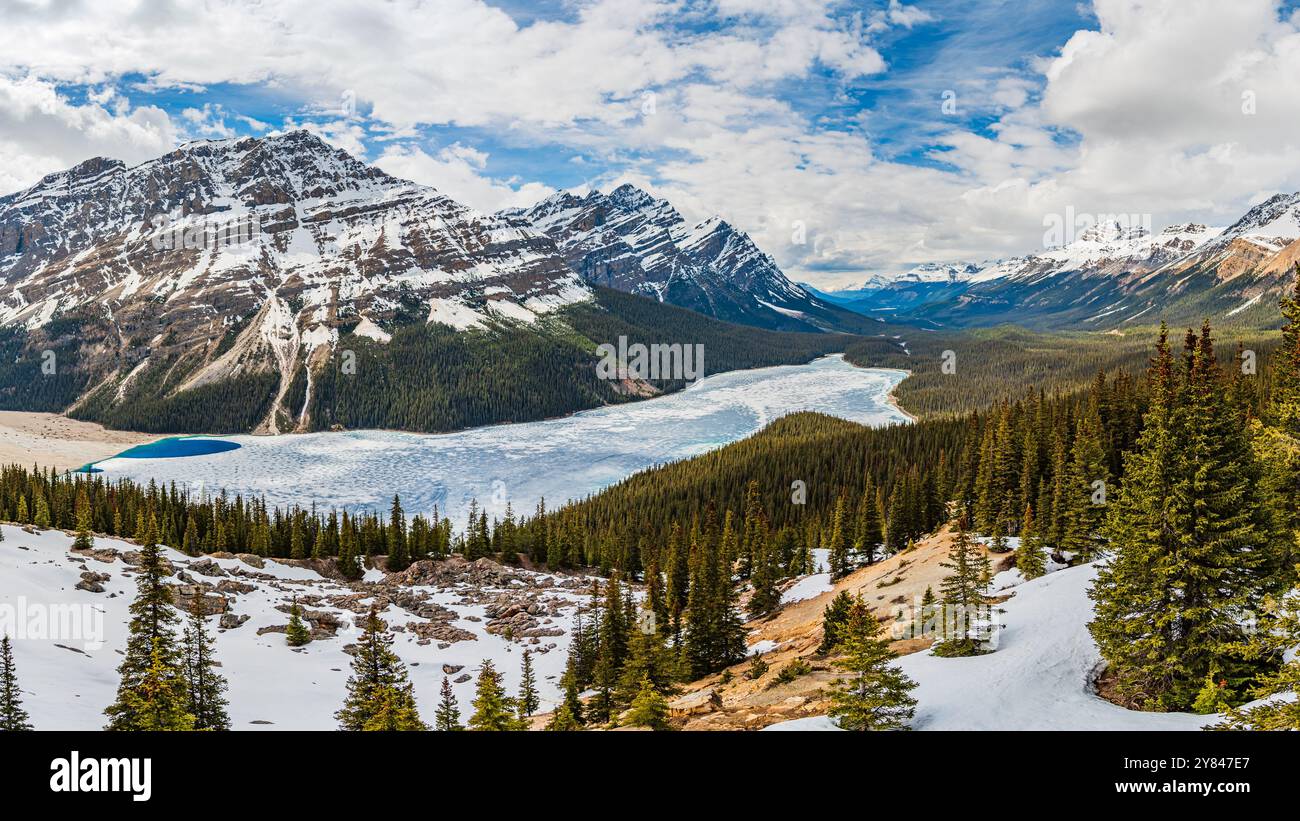 Incredible spring time scenes at Peyto Lake in the Canadian Rockies ...