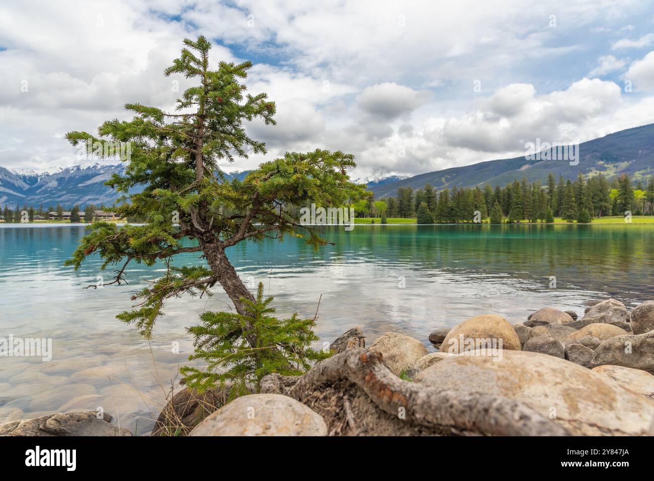 Stunning scenes around Beauvert Lake in Jasper National Park with ...