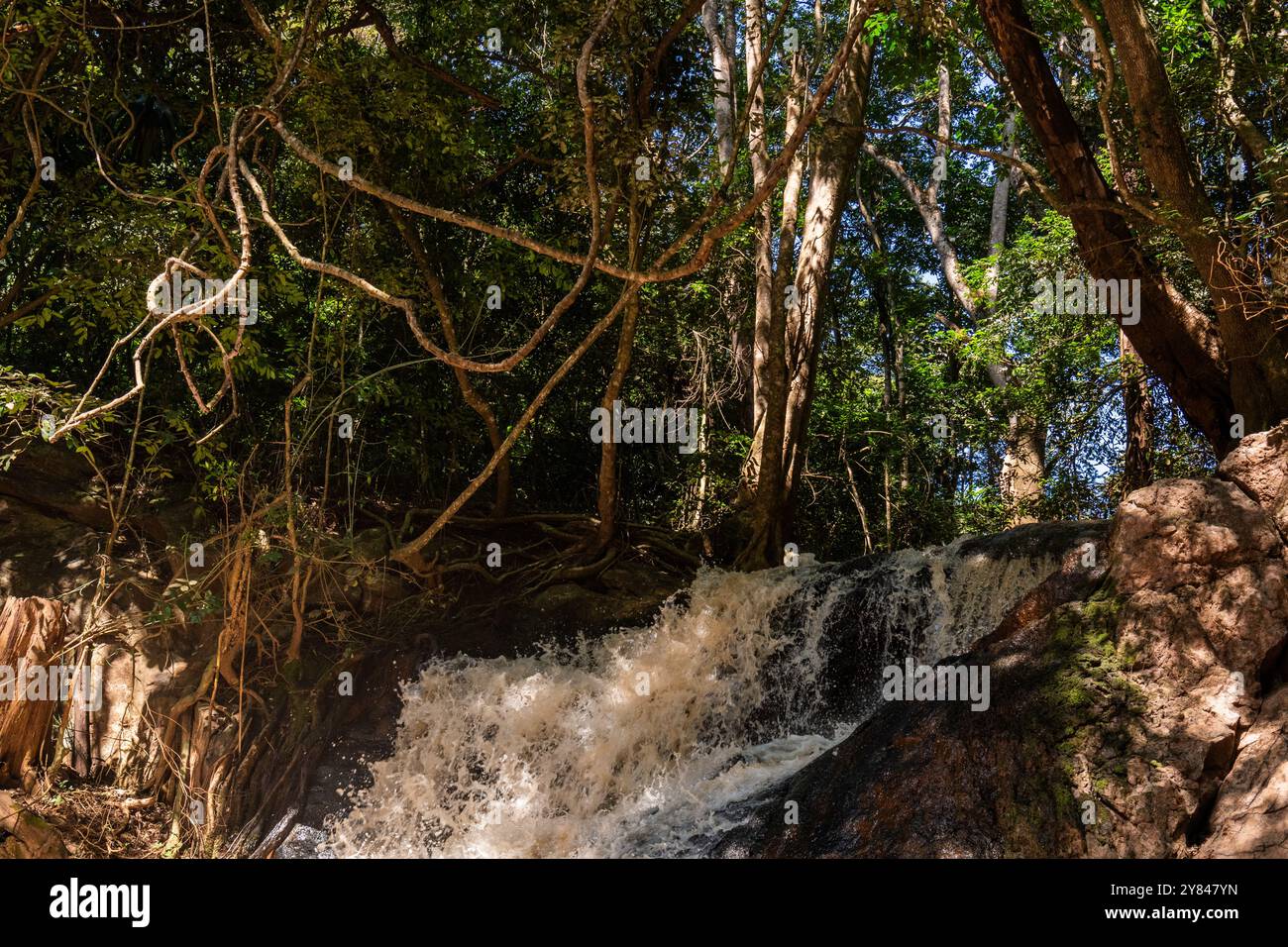 Karura River Waterfall, Karura Forest Reserve, Nairobi, Kenya, Africa ...
