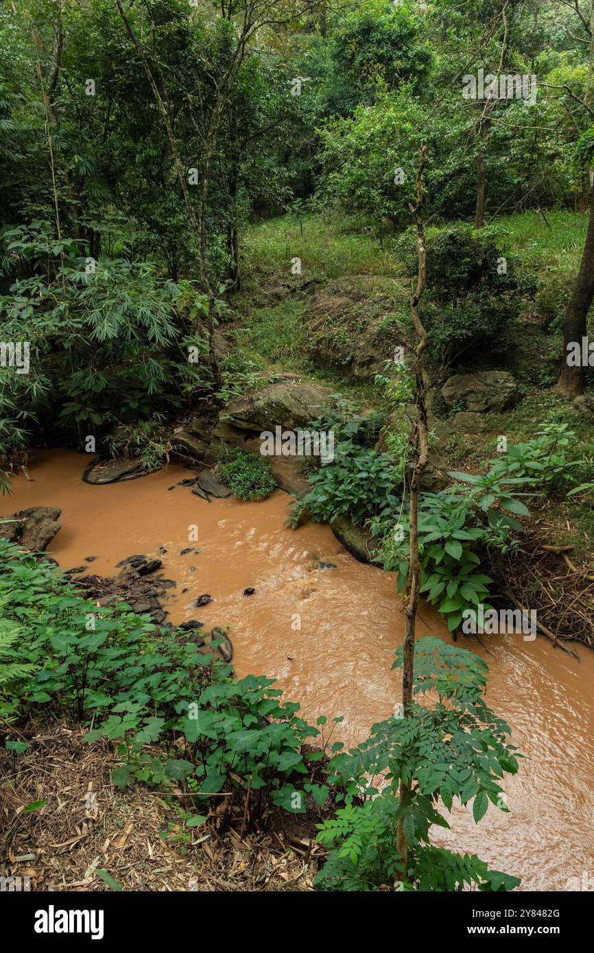 Githaturu River, Karura Forest Reserve, Nairobi, Kenya, Africa Stock ...