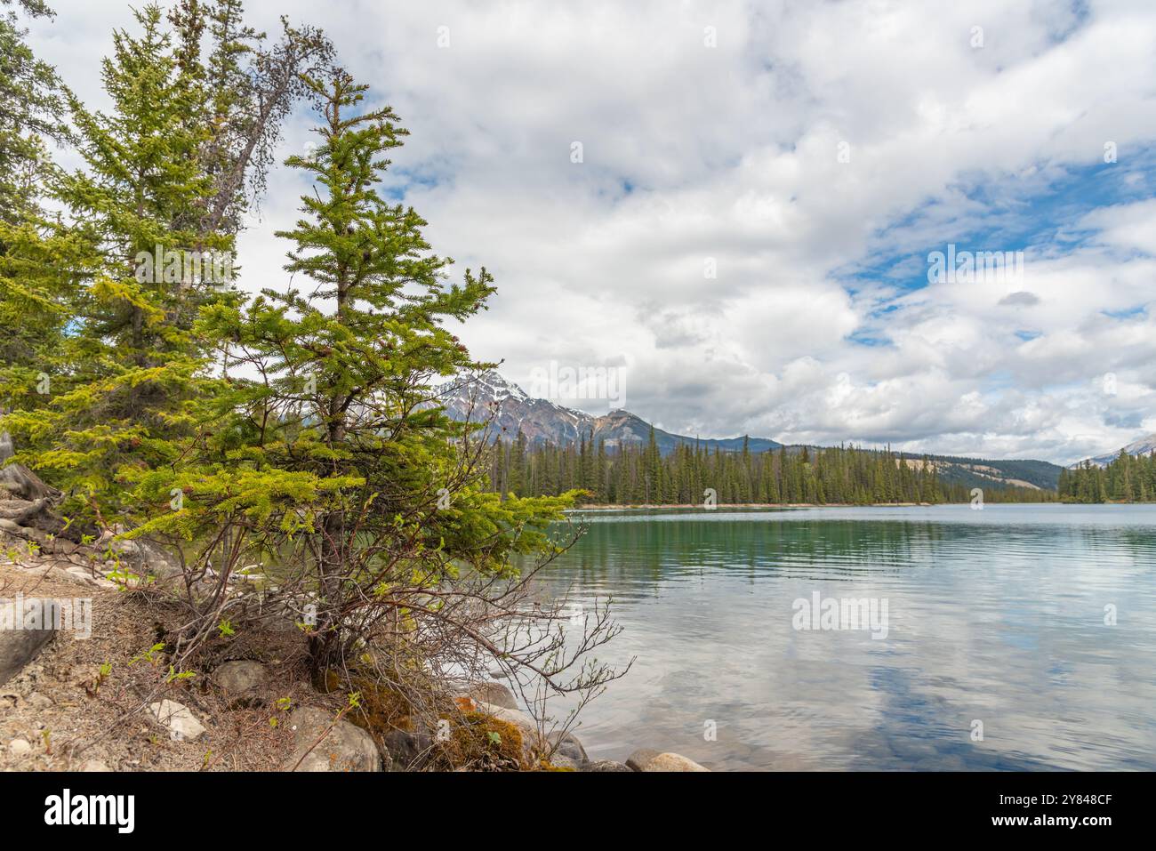Stunning scenes around Beauvert Lake in Jasper National Park with ...