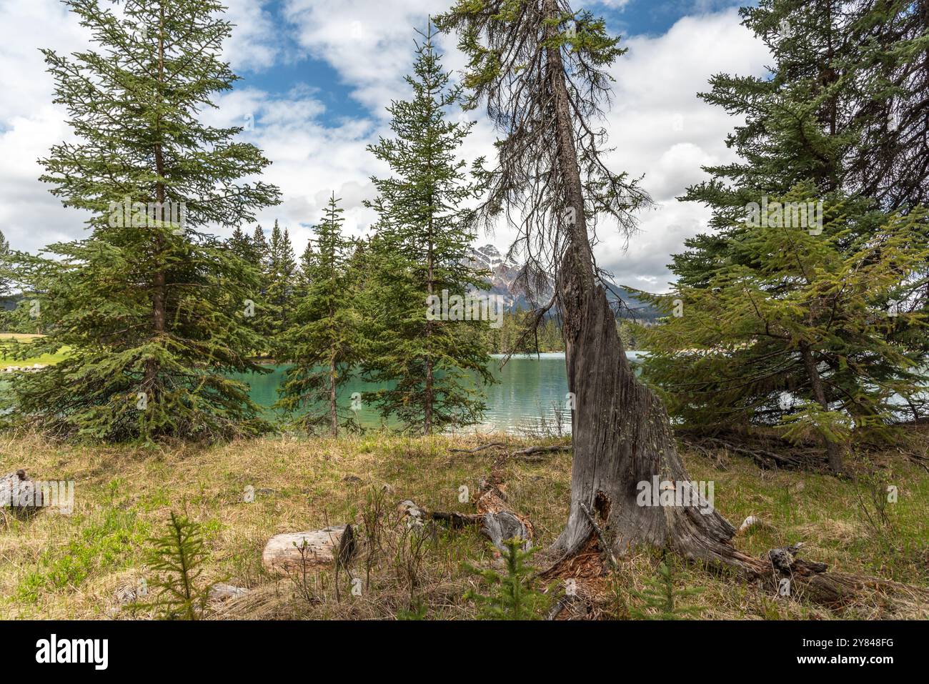 Stunning scenes around Beauvert Lake in Jasper National Park with ...