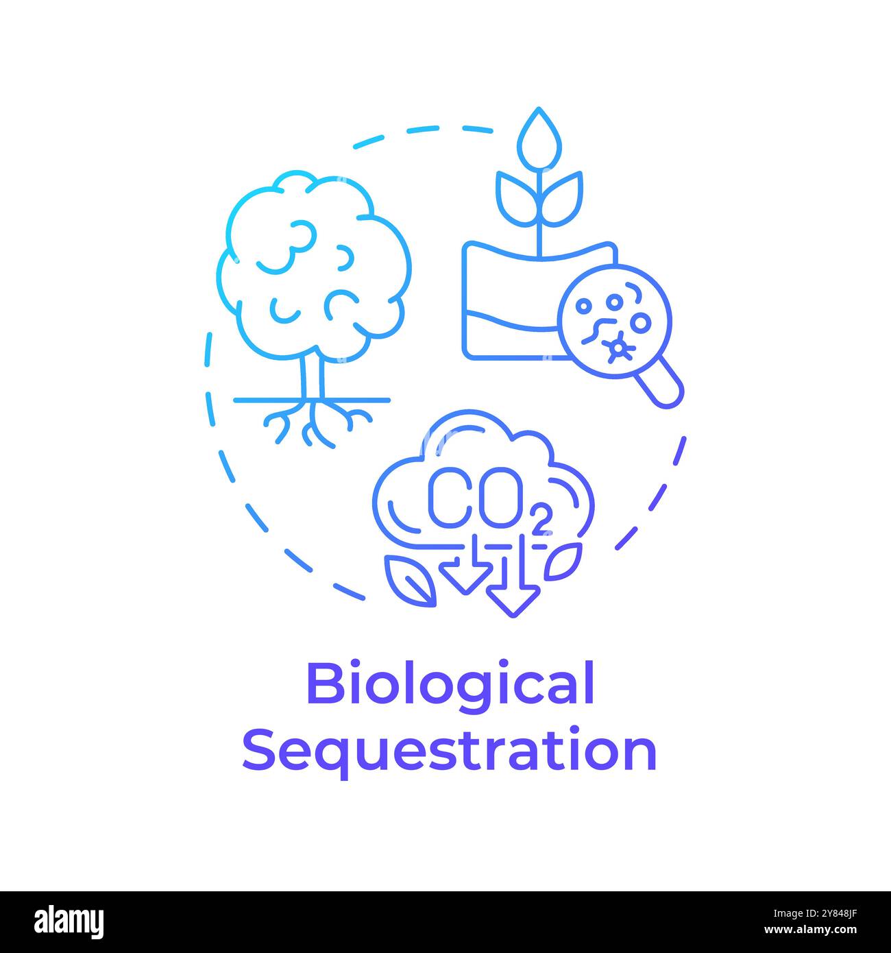 Information sign deforestation hi-res stock photography and images - Alamy