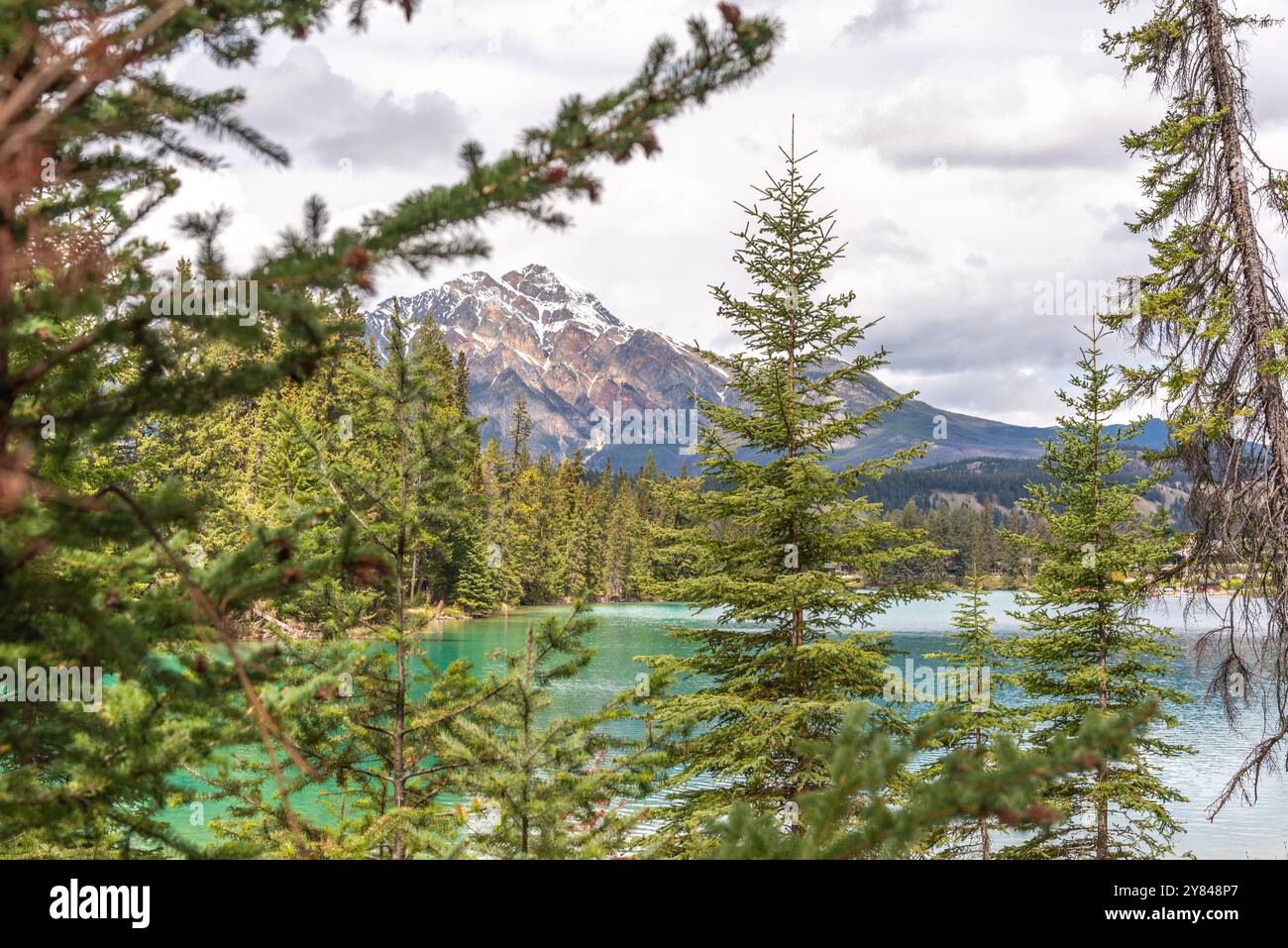 Stunning scenes around Beauvert Lake in Jasper National Park with ...