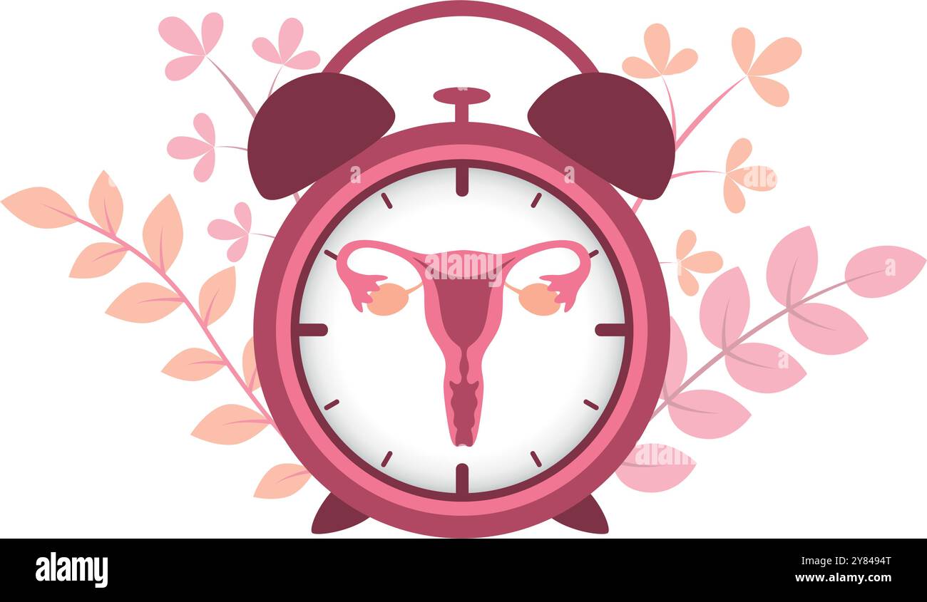 female reproductive system women uterus in the ringing alarm clock ...