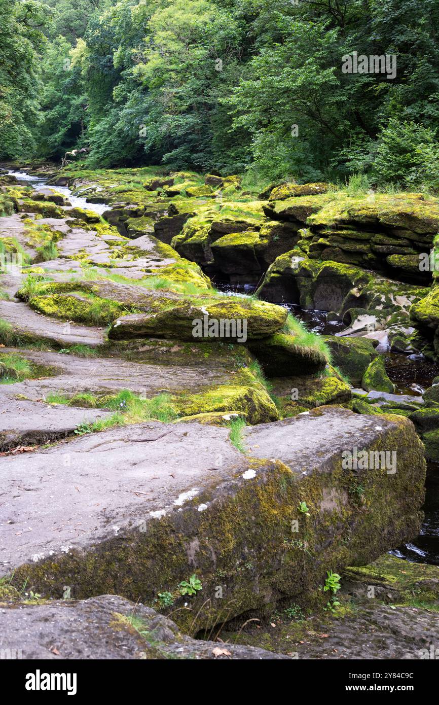 The Strid on the river Wharfe in summer, Yorkshire, England Stock Photo ...