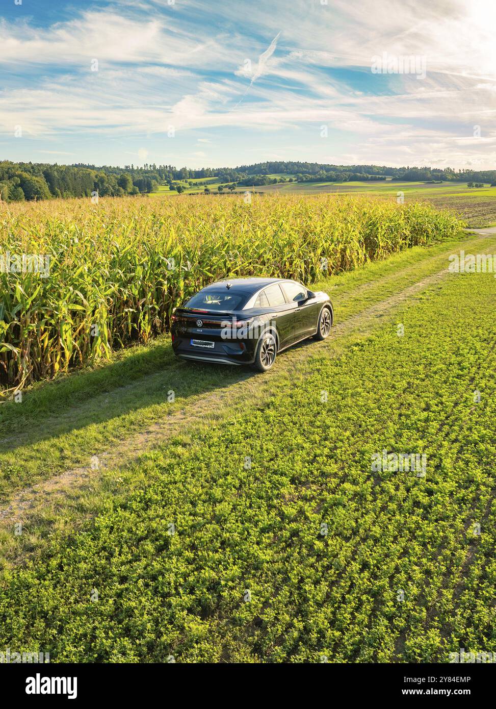 Black car driving on a dirt road next to a corn field under a blue sky ...