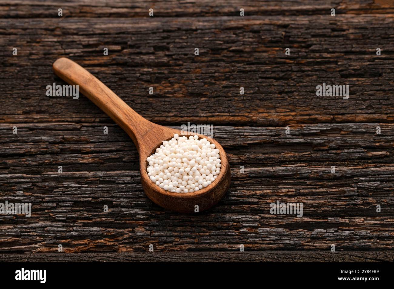 Sagu starch balls - Tapioca pearls on the spoon. Manihot esculenta ...