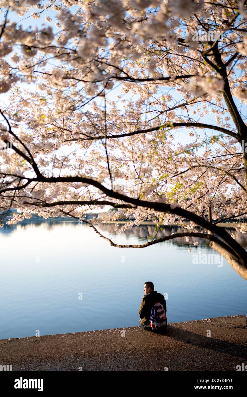 WASHINGTON DC, United States — A man sits on the seawall of the Tidal ...