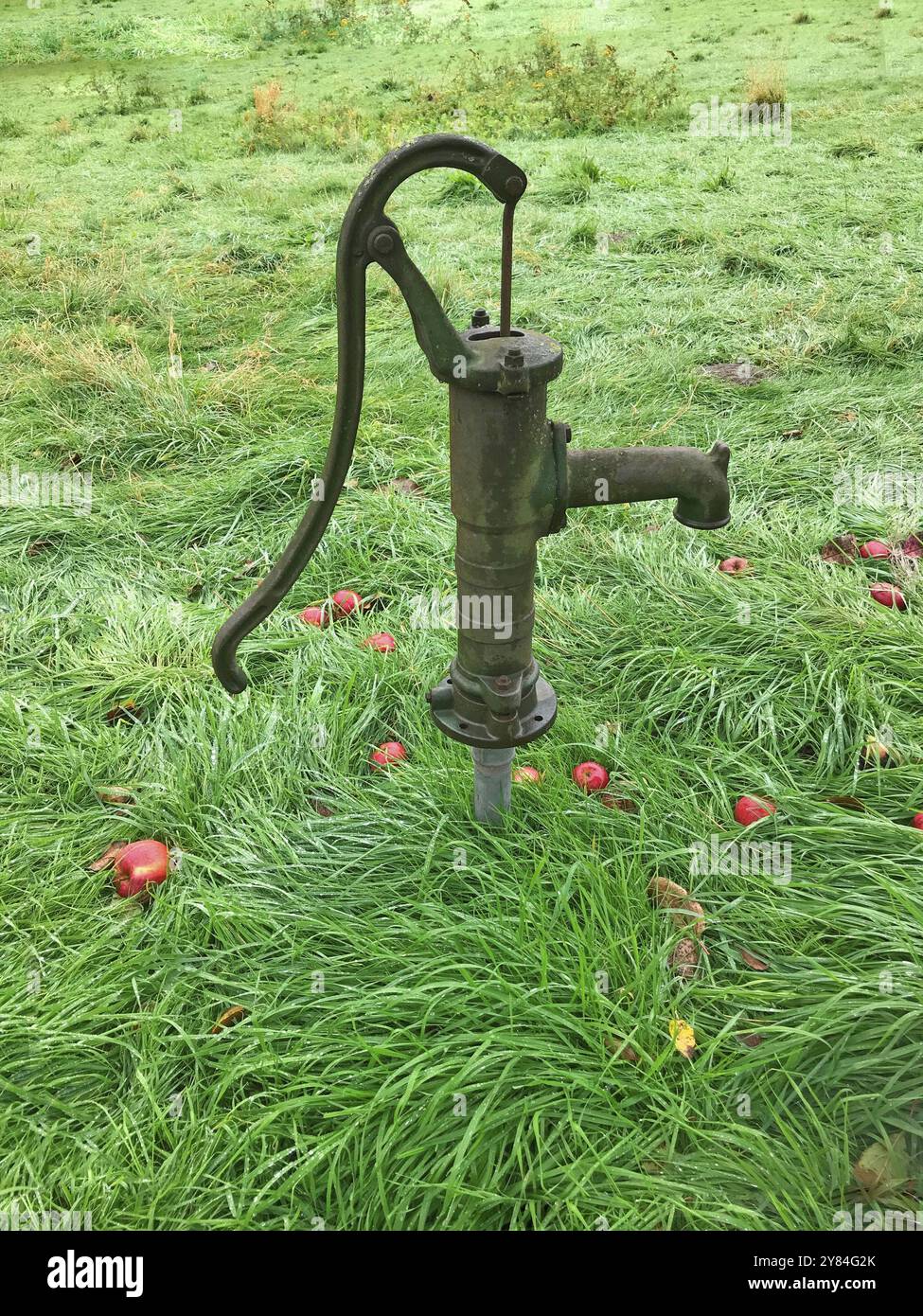 Hand swivel plume Stock Photo - Alamy