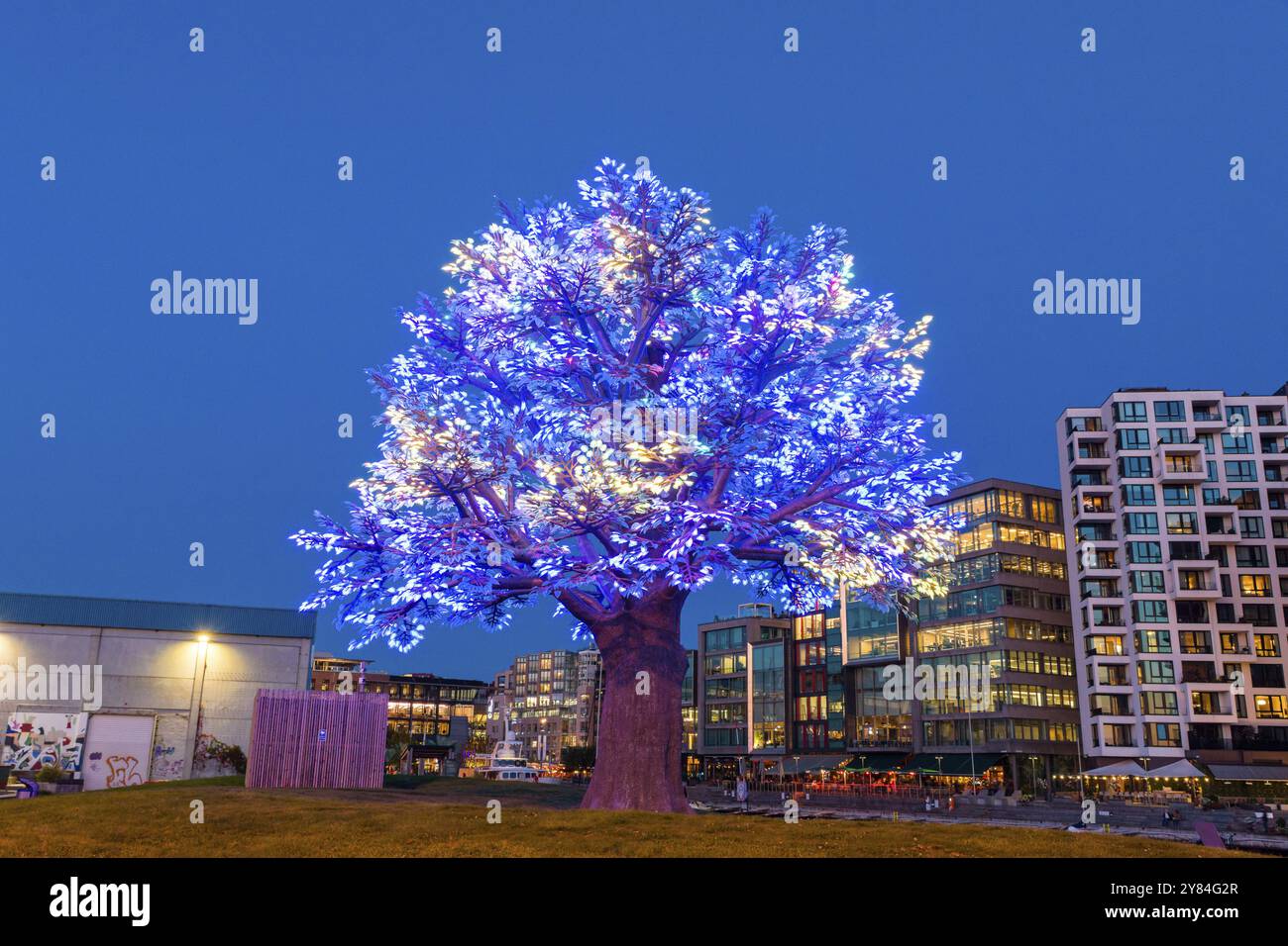The Oslo Tree Stock Photo - Alamy