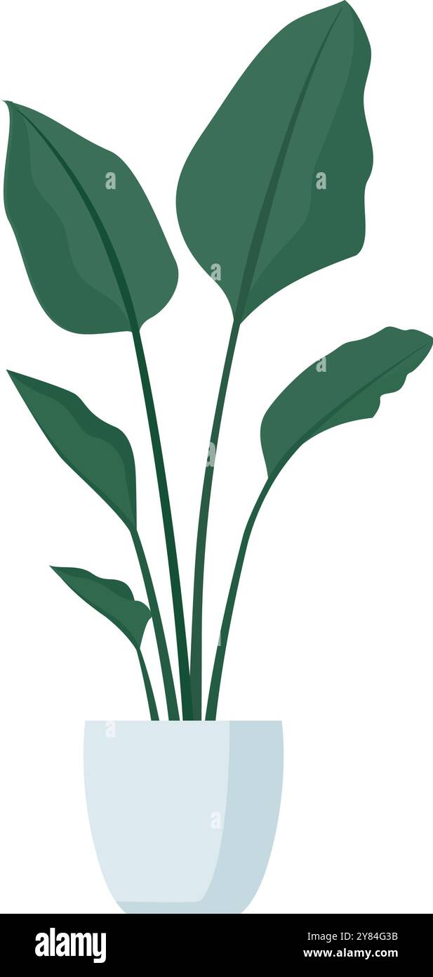 Botany home decor Stock Vector Images - Alamy