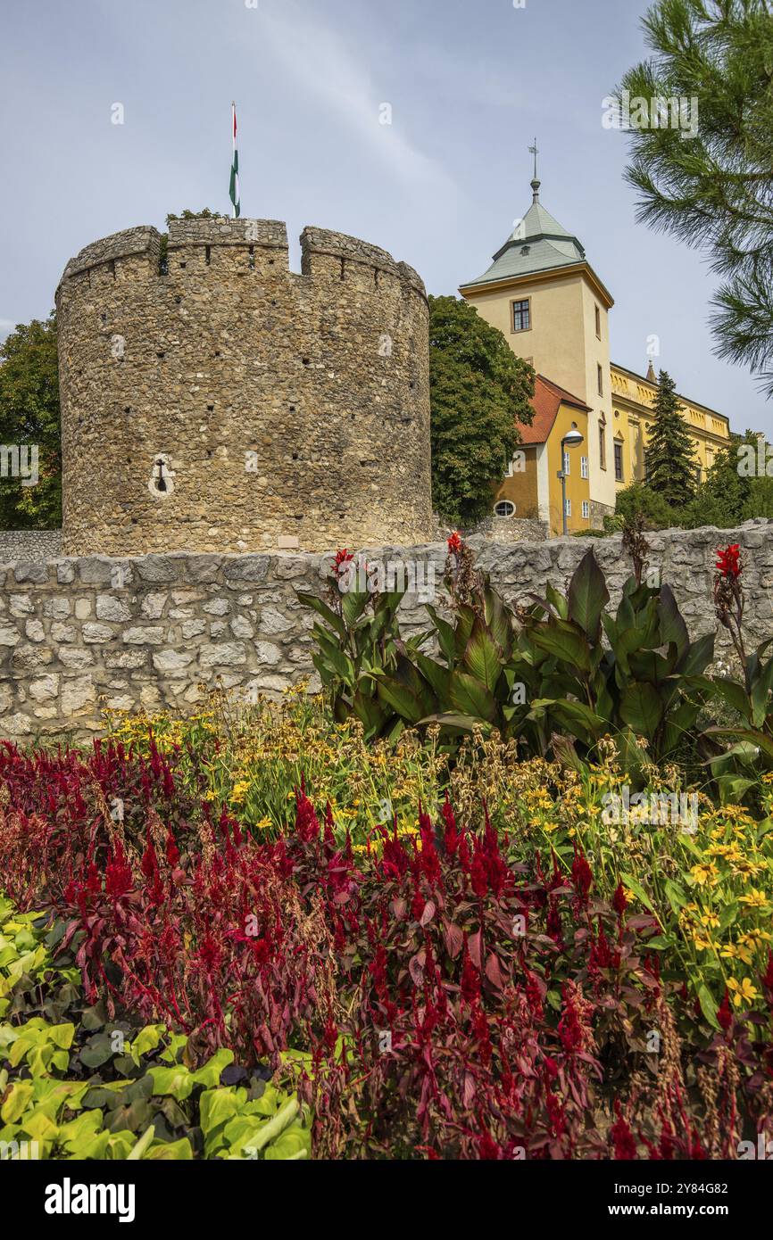 Old, beautifully decorated buildings in a historic city centre. Picture ...