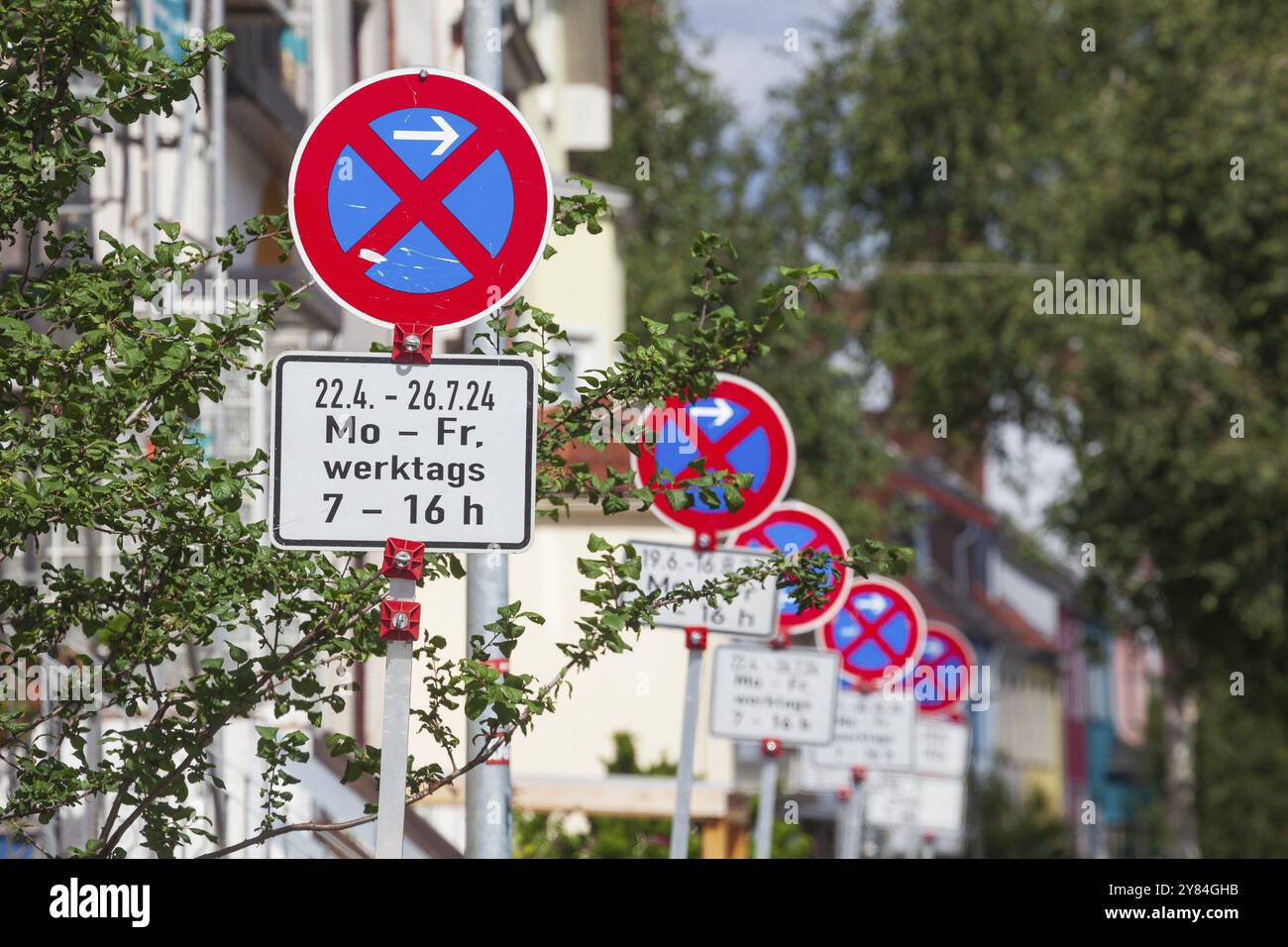 Traffic signs absolute no stopping in a row, Germany, Europe Stock ...