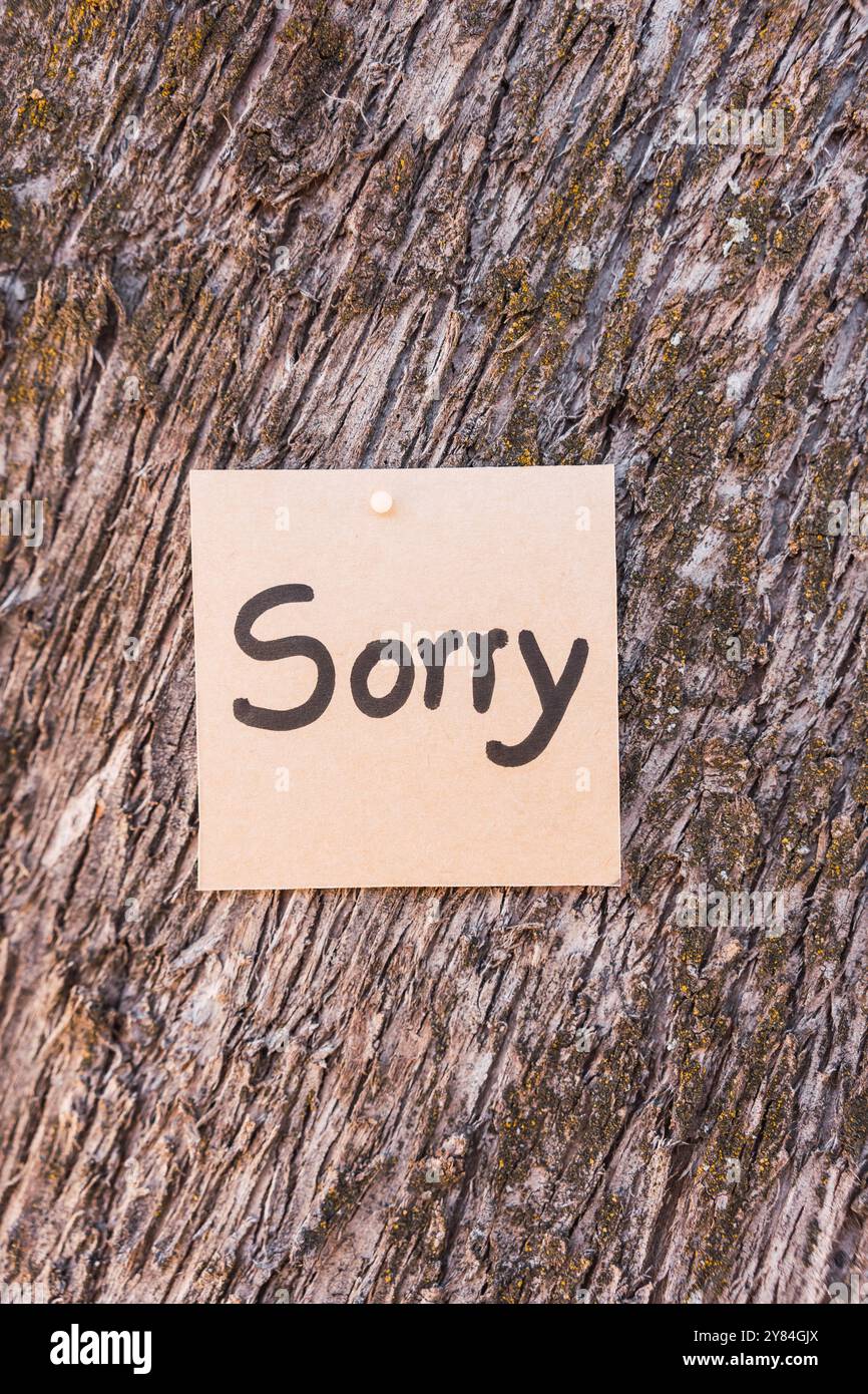 word sorry written and drawn on recycled cardboard with a textured tree ...