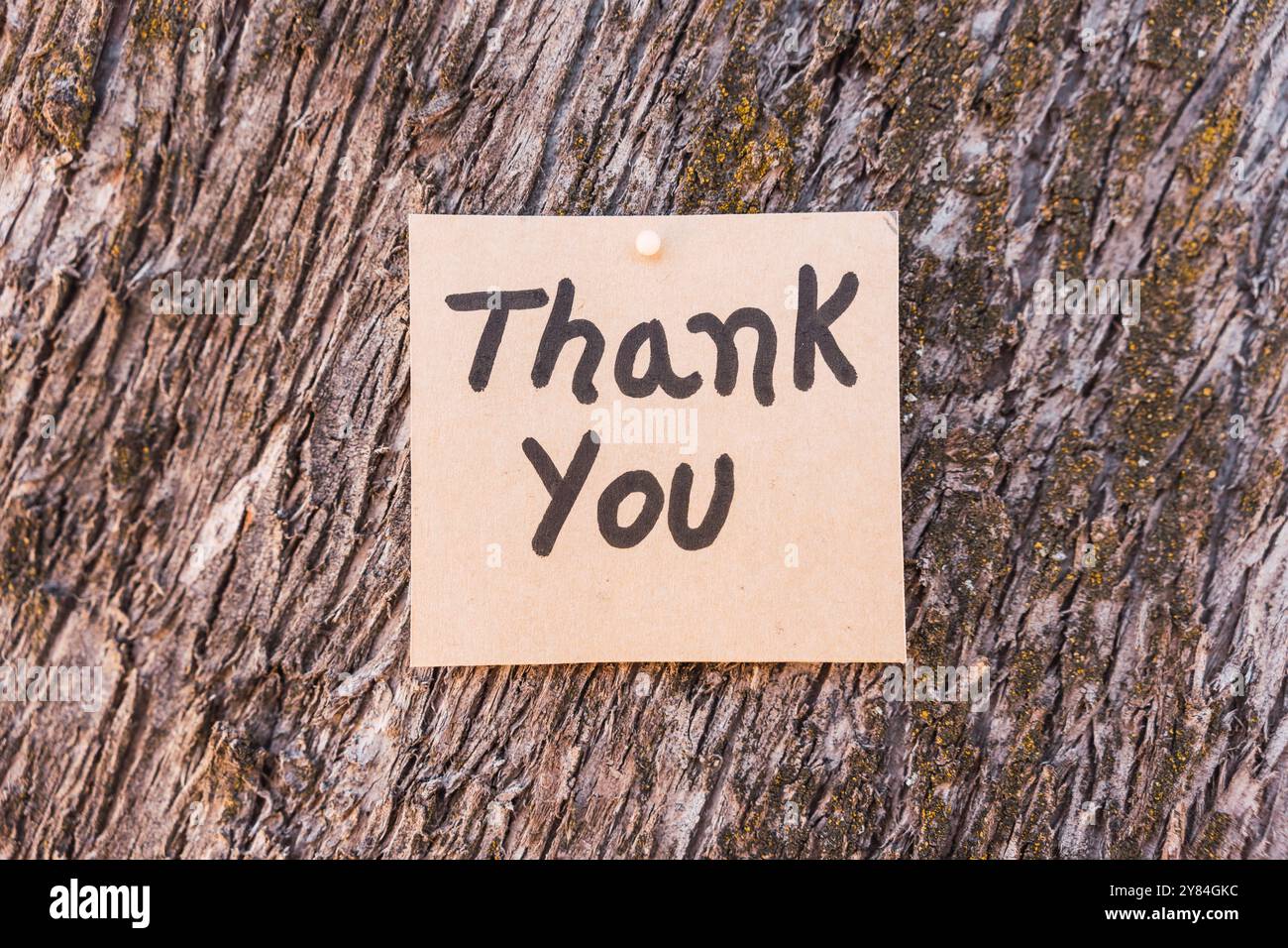 word thank you written and drawn on recycled cardboard with a textured ...