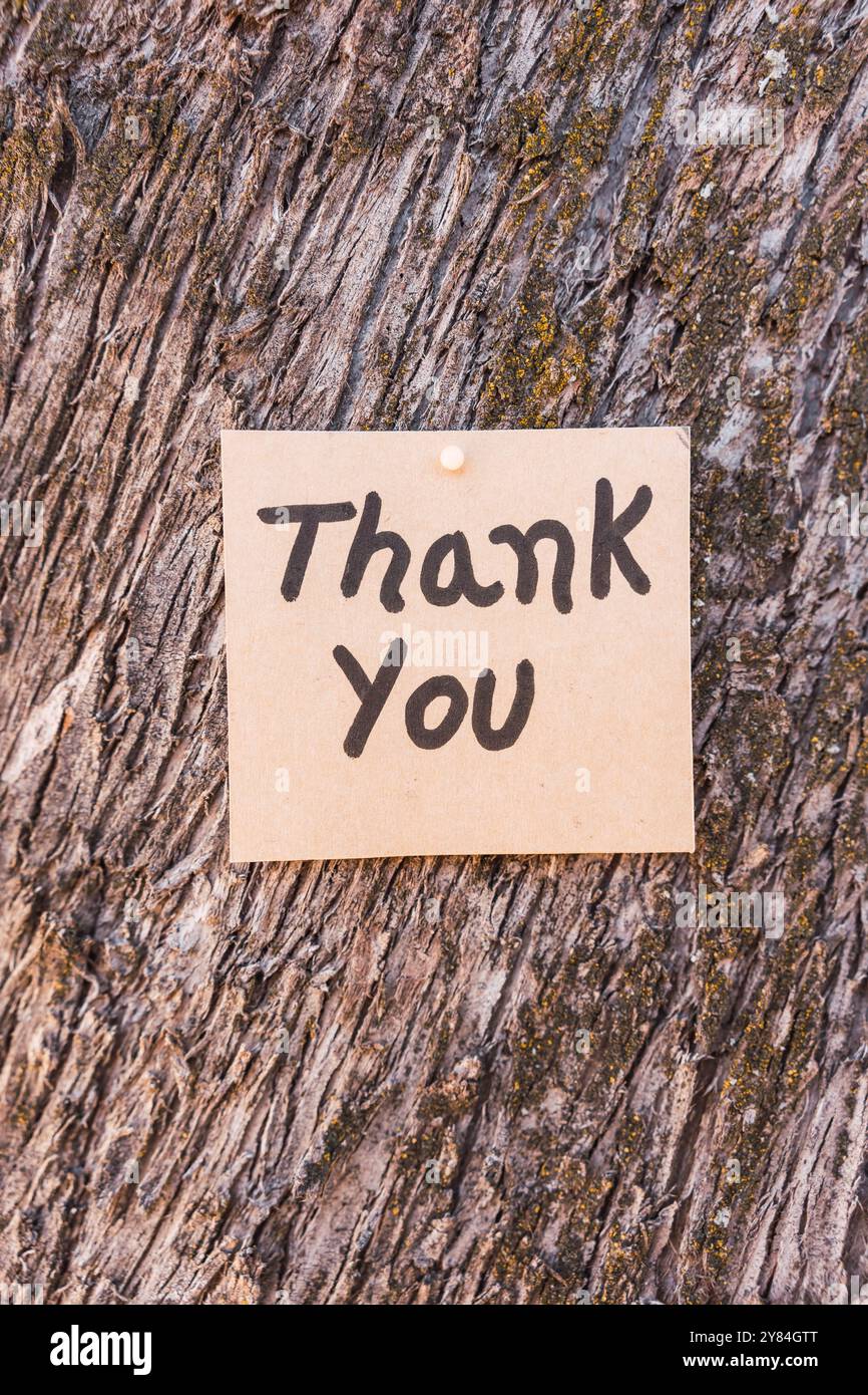 word thank you written and drawn on recycled cardboard with a textured ...