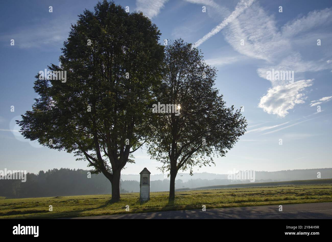 The sun has conquered the fog Old wayside cross between 2 trees ...