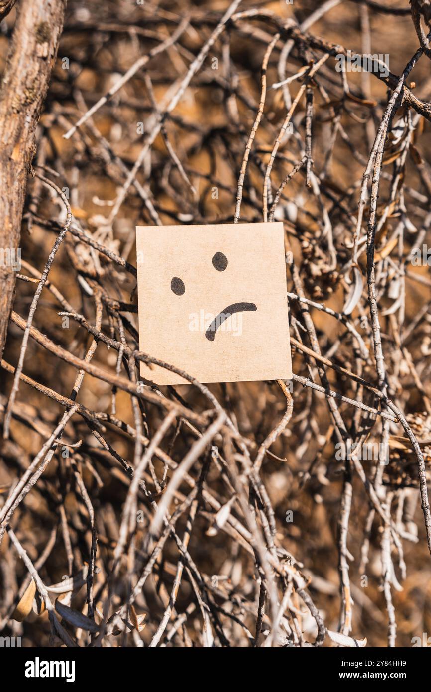 sad face drawn on recycled cardboard with a textured background of tree ...