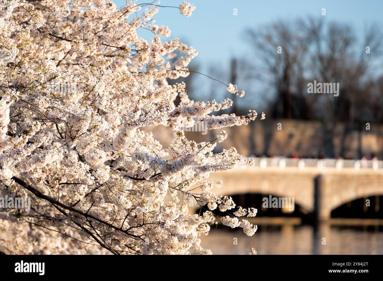 Tidal basin outlet bridge hi-res stock photography and images - Alamy