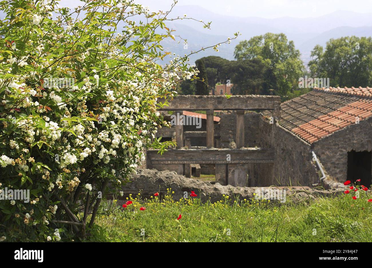 Pompeii was an ancient city in Campania on the Gulf of Naples, which ...