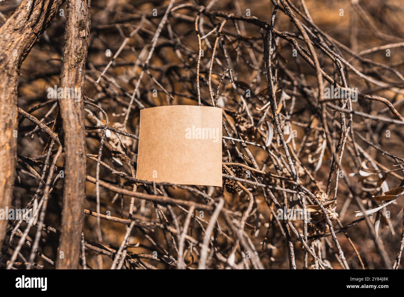 white recycled cardboard with a tree bark textured background Stock ...