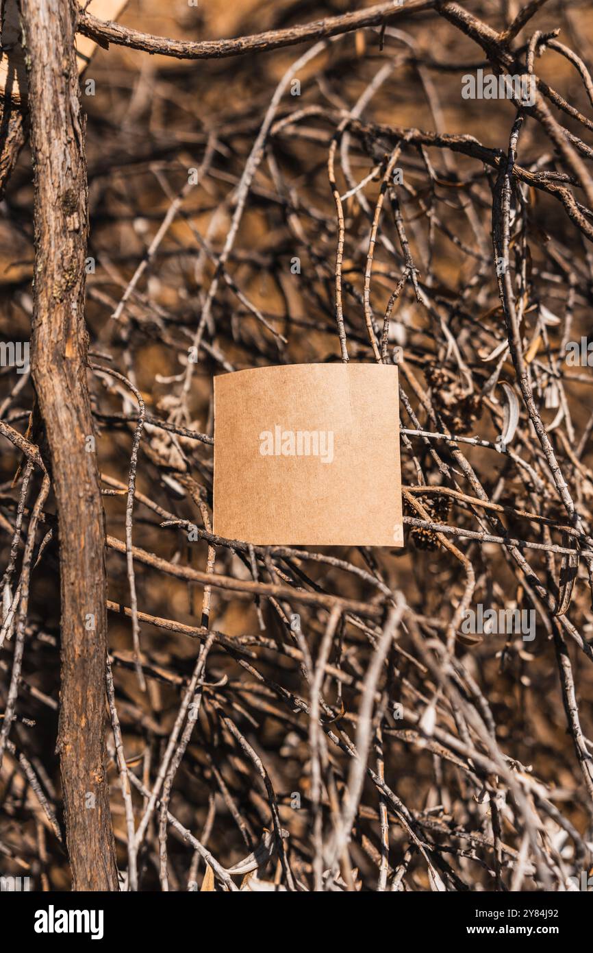 white recycled cardboard with a tree bark textured background Stock ...