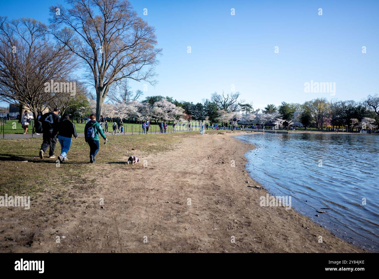 National park tidal basi hi-res stock photography and images - Alamy