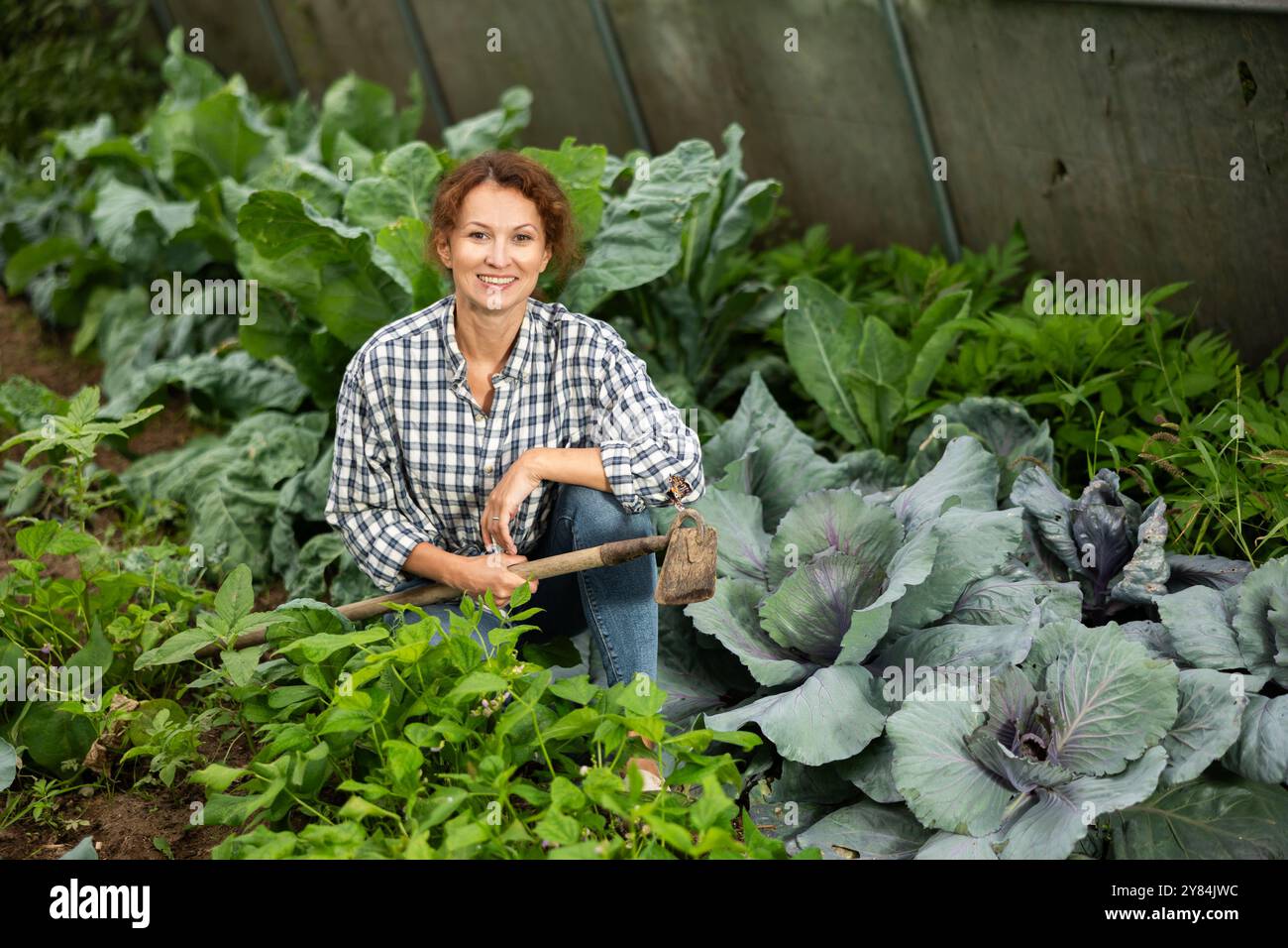 Farmer peasant woman works with garden plants in greenhouse Stock Photo ...