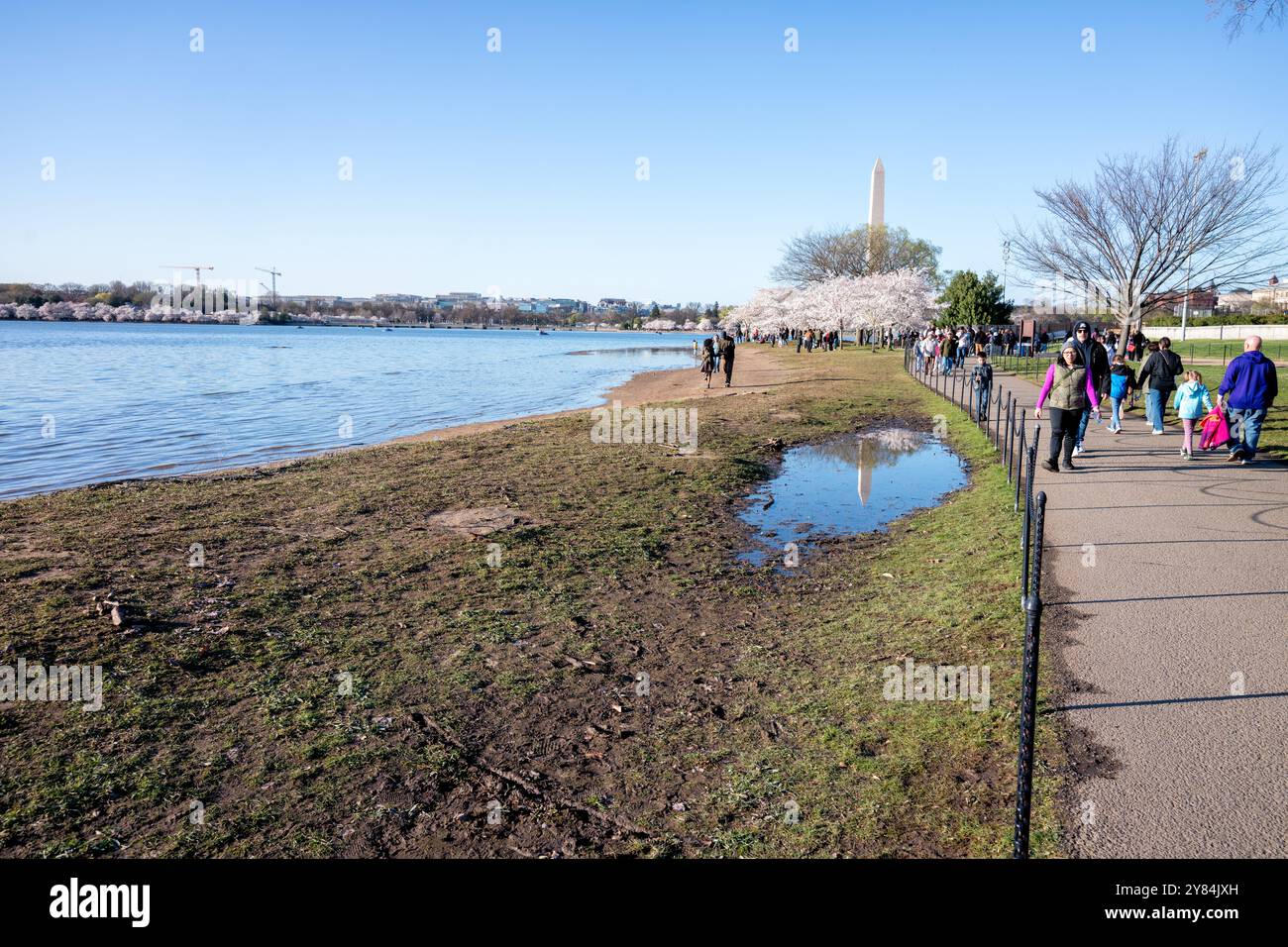 Environmental adaptation hi-res stock photography and images - Alamy