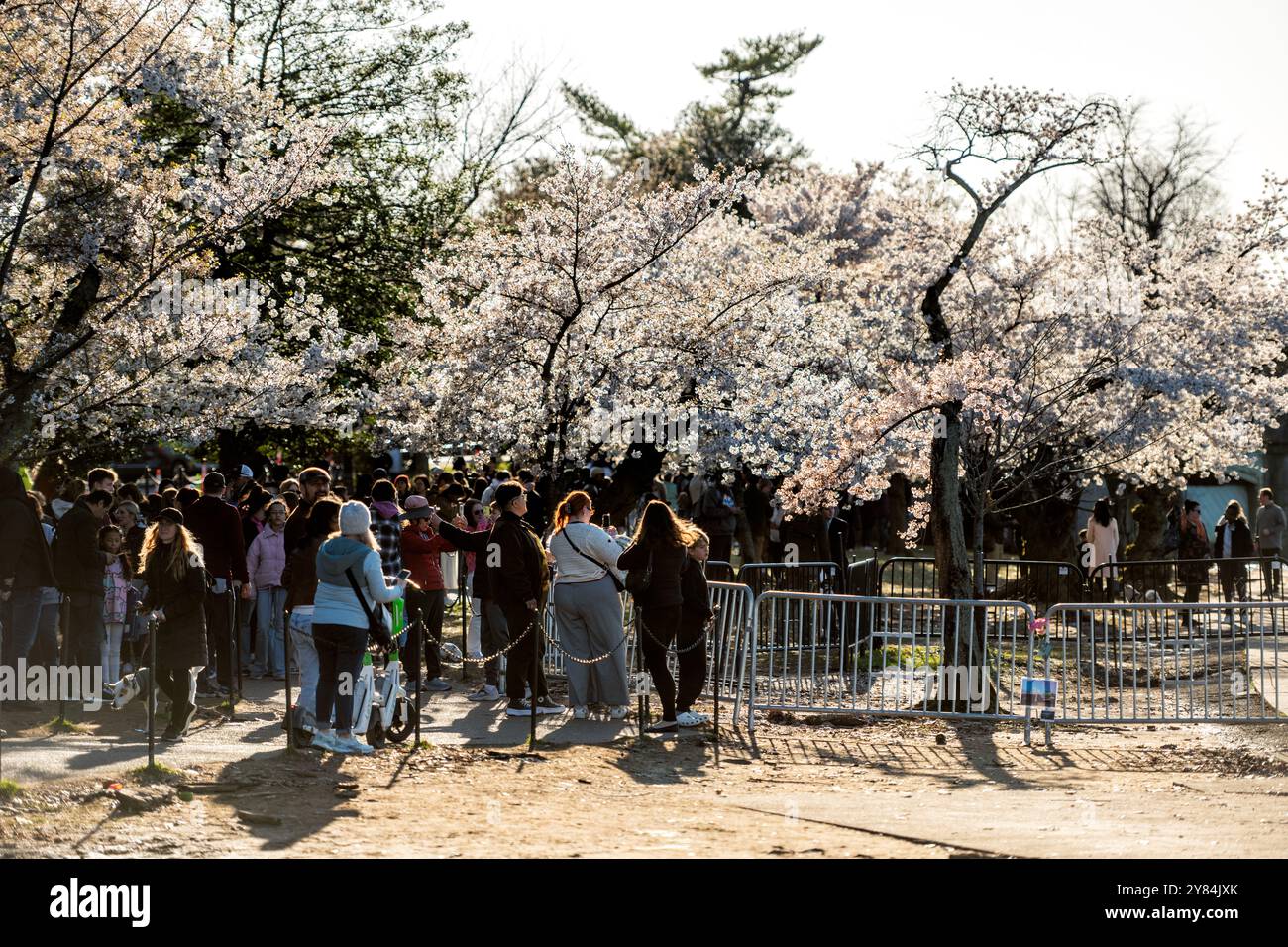 WASHINGTON DC, United States — A crowd of visitors gathers around ...
